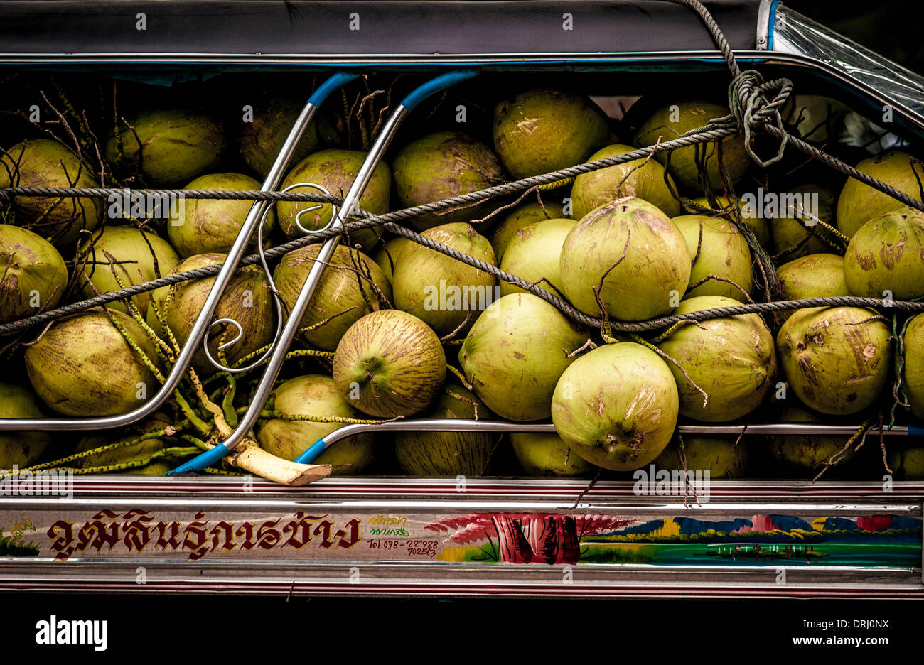 Green Coconuts High Resolution Stock Photography and Images - Alamy