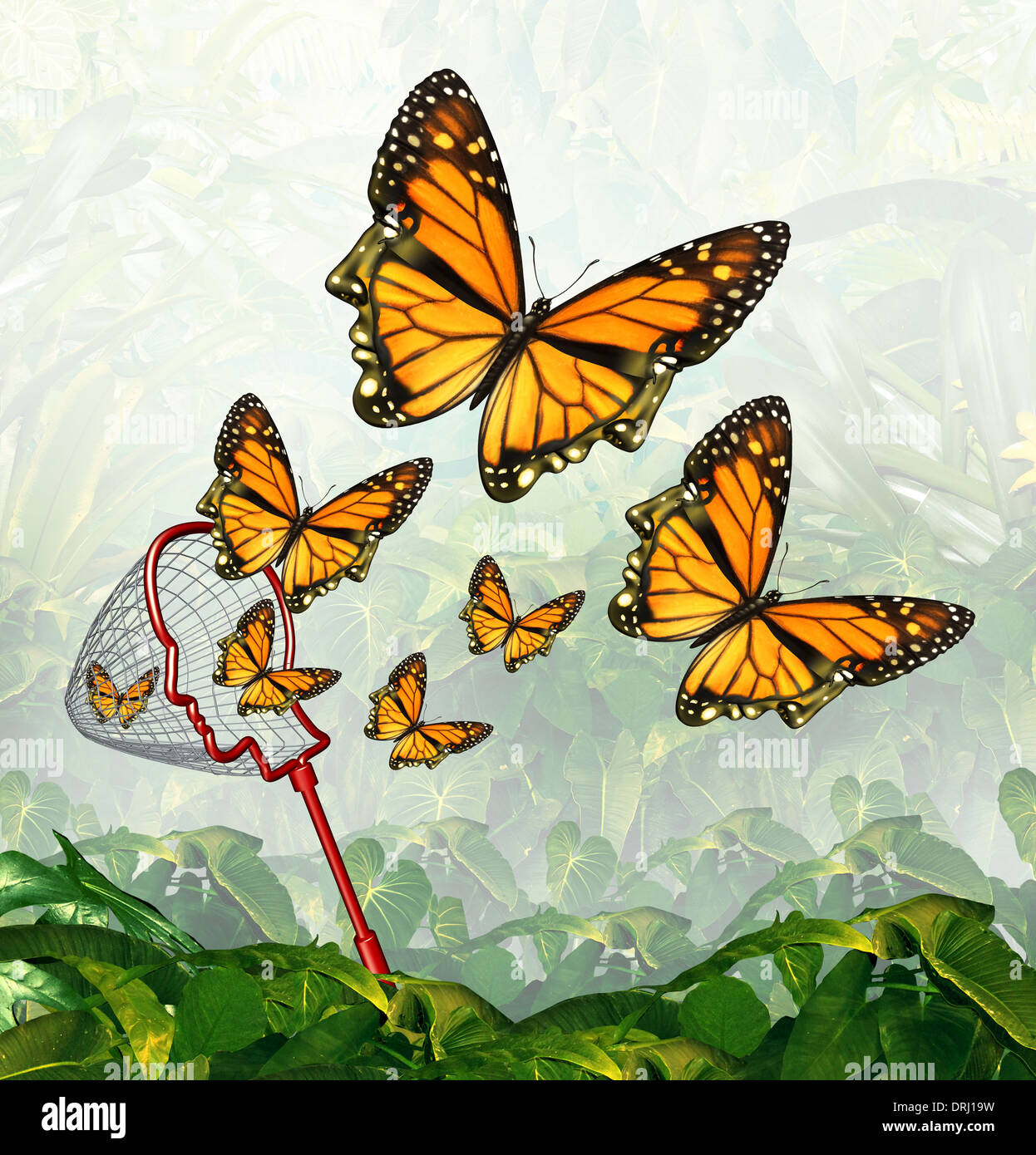 Get inspired and finding inspiration concept as a butterfly net and ...