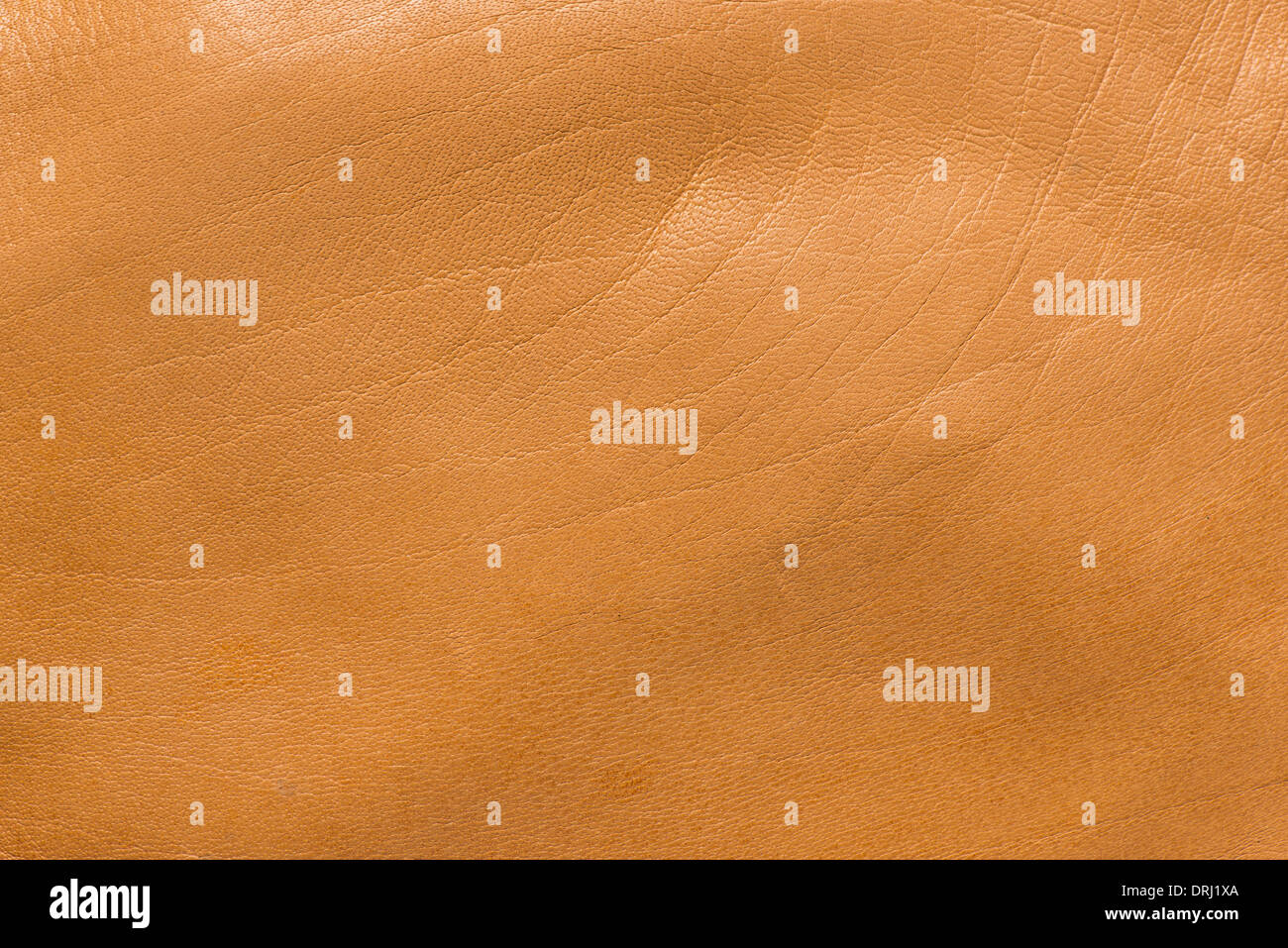 Yellow leather background hi-res stock photography and images - Alamy