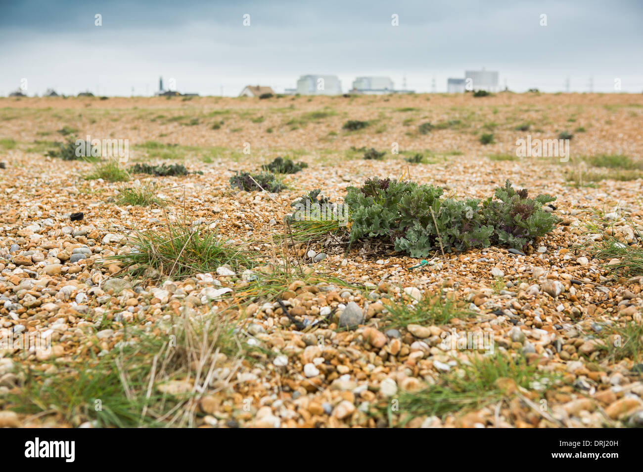 Dungeness shingle beach, with fishermen's cottage and the nuclear power ...