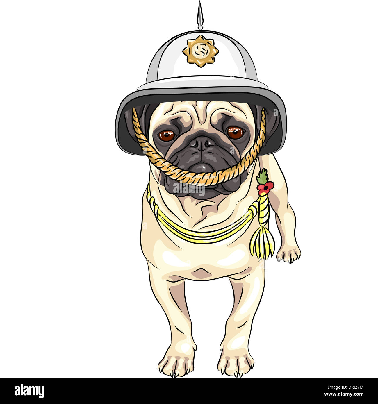 Military dog helmet hi-res stock photography and images - Alamy