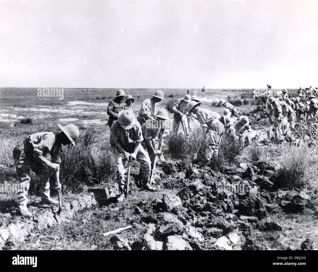 British troops draining marshes, Salonika Front, WW1 Stock Photo - Alamy