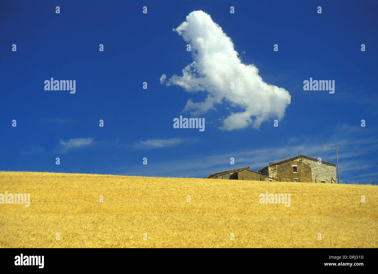 Europe, Italy, Tuscany, Val d'Orcia, Landscape Stock Photo - Alamy