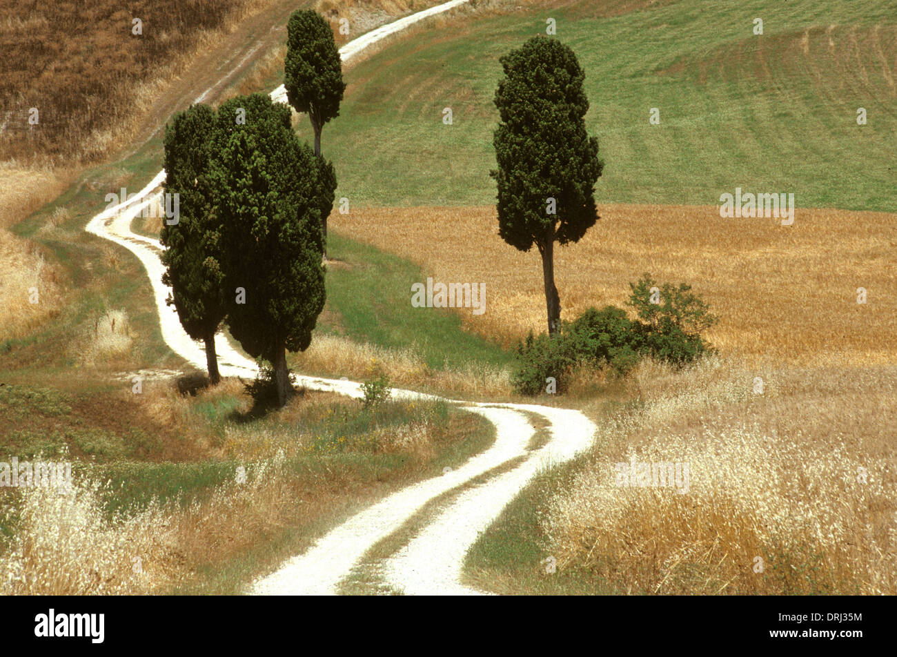 Europe, Italy, Tuscany, Val d'Orcia, Landscape with a road and ...