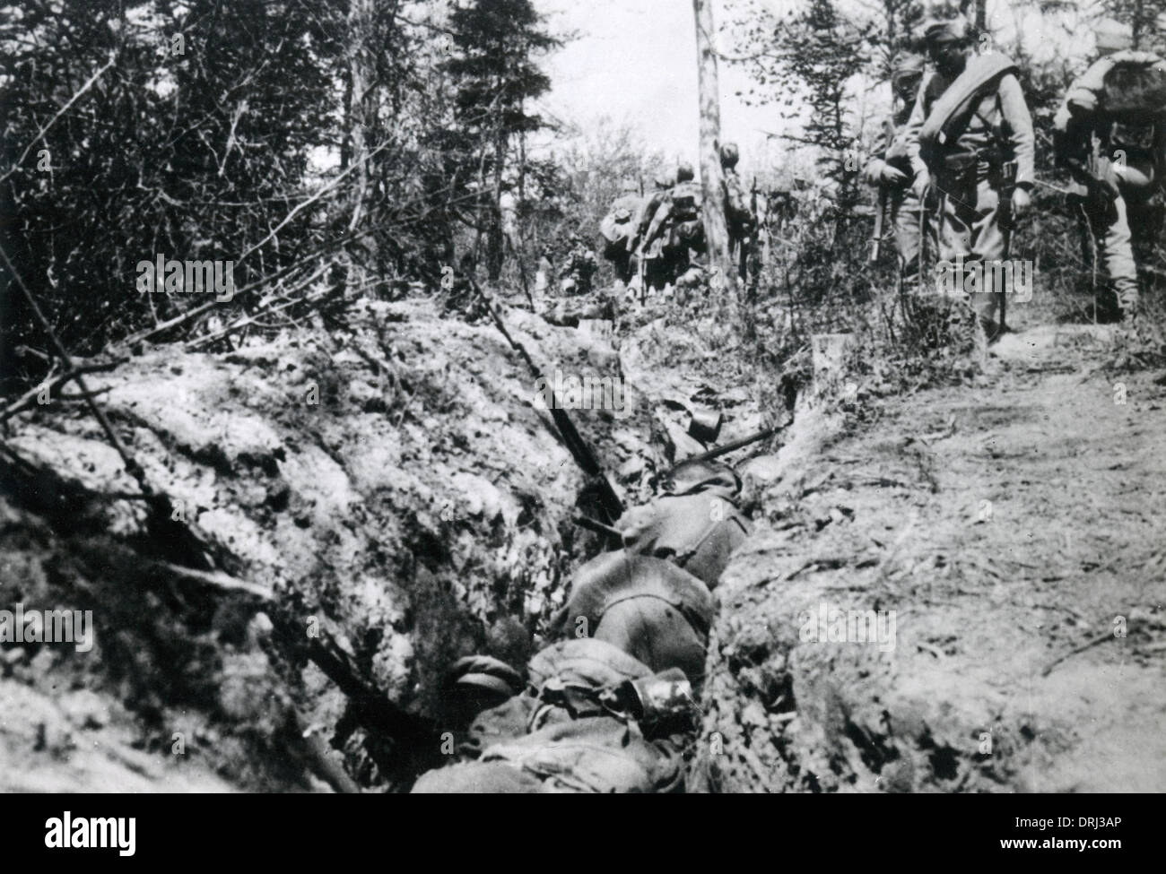 Russian trench after storming, Galicia, WW1 Stock Photo - Alamy