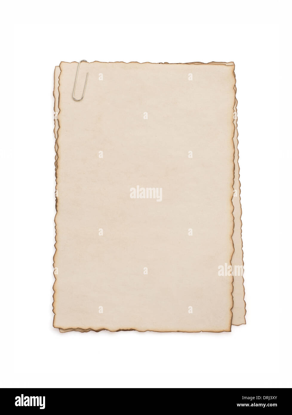 paper vintage parchment isolated on white background Stock Photo - Alamy