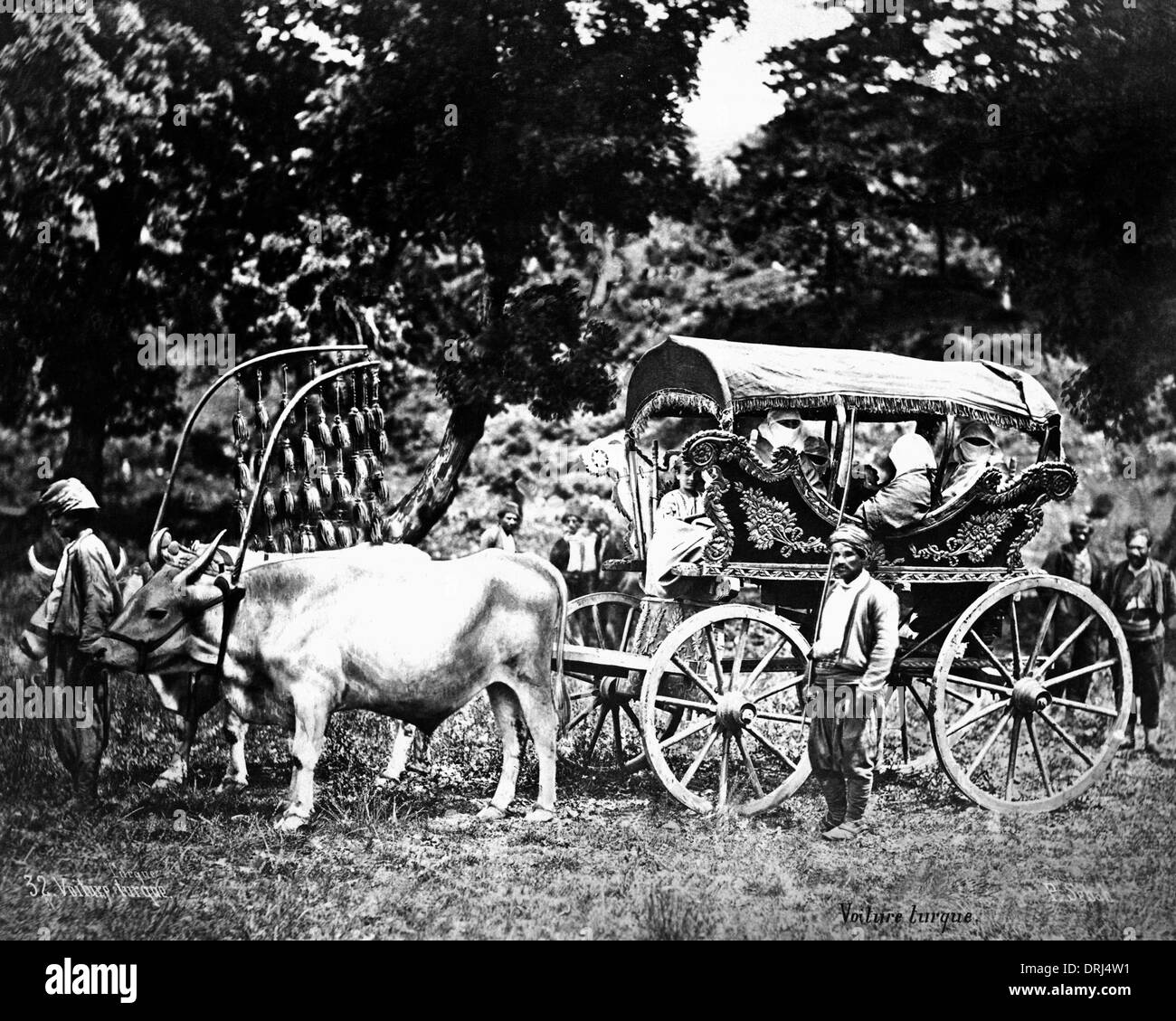 Ox carriage hi-res stock photography and images - Alamy