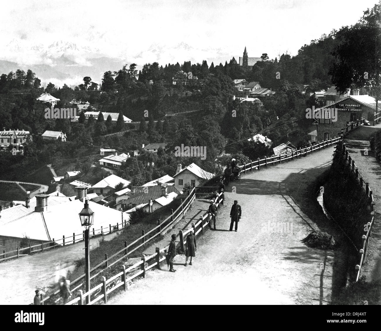 Shimla trees hi-res stock photography and images - Alamy