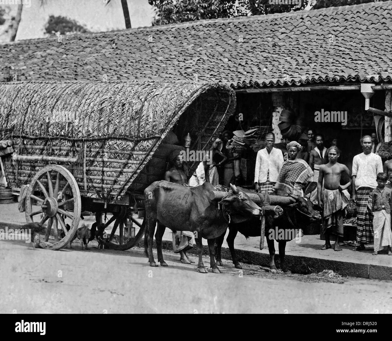 Bullock cart india hi-res stock photography and images - Alamy