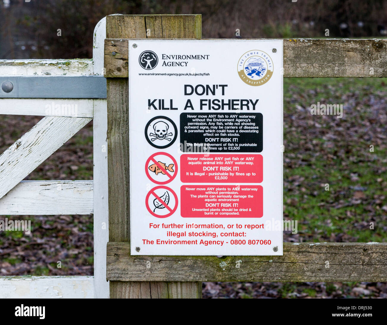 "Don't Kill a fishery" Environment Agency sign, information board and ...