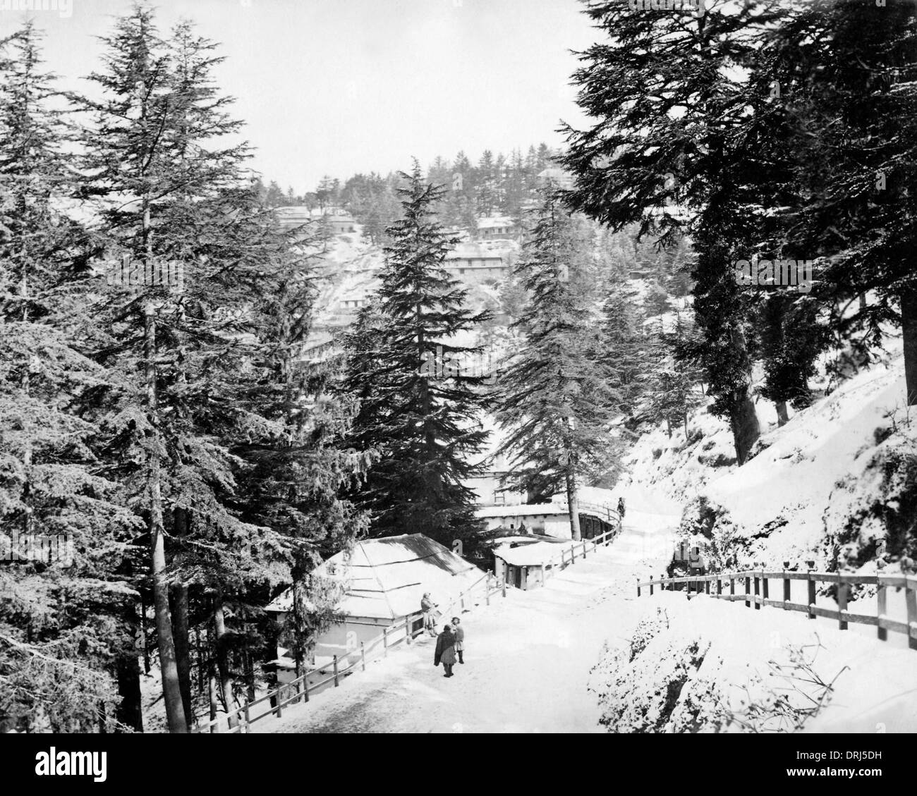 Simla (Shimla), Himachal Pradesh, India Stock Photo - Alamy