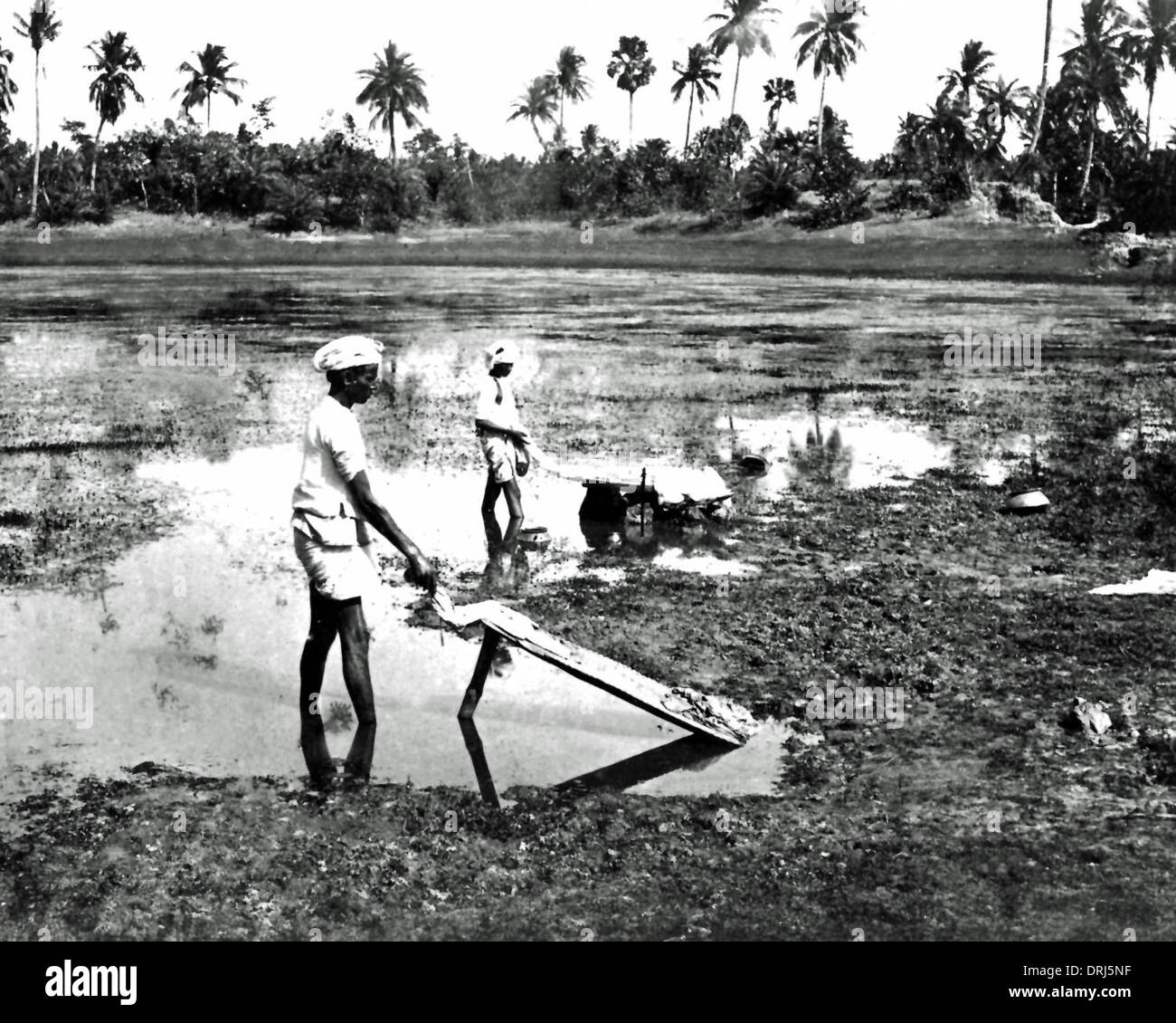 Dhobis washing clothes, India Stock Photo - Alamy