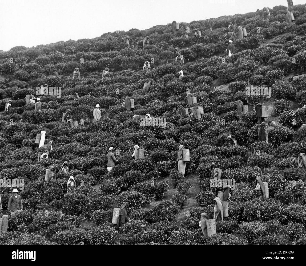 Hill with people Black and White Stock Photos & Images - Alamy