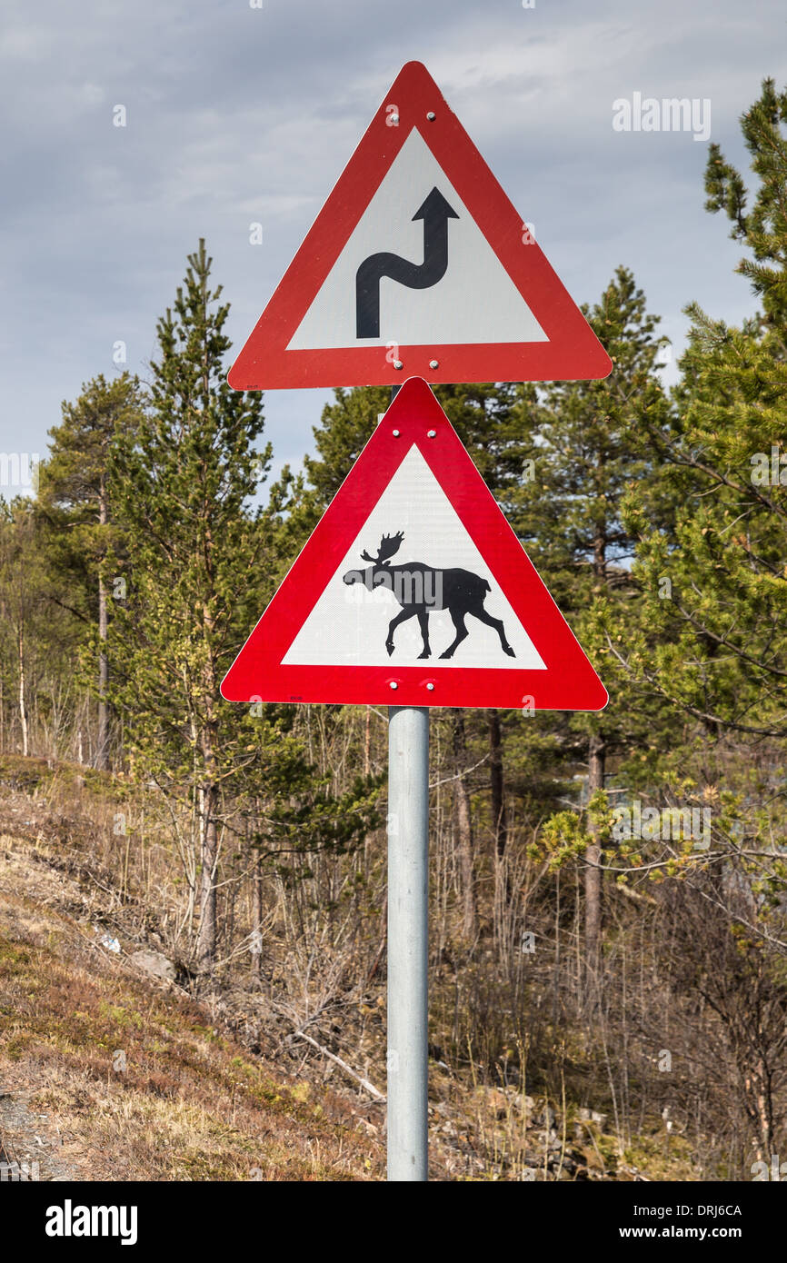 Moose traffic sign hi-res stock photography and images - Alamy