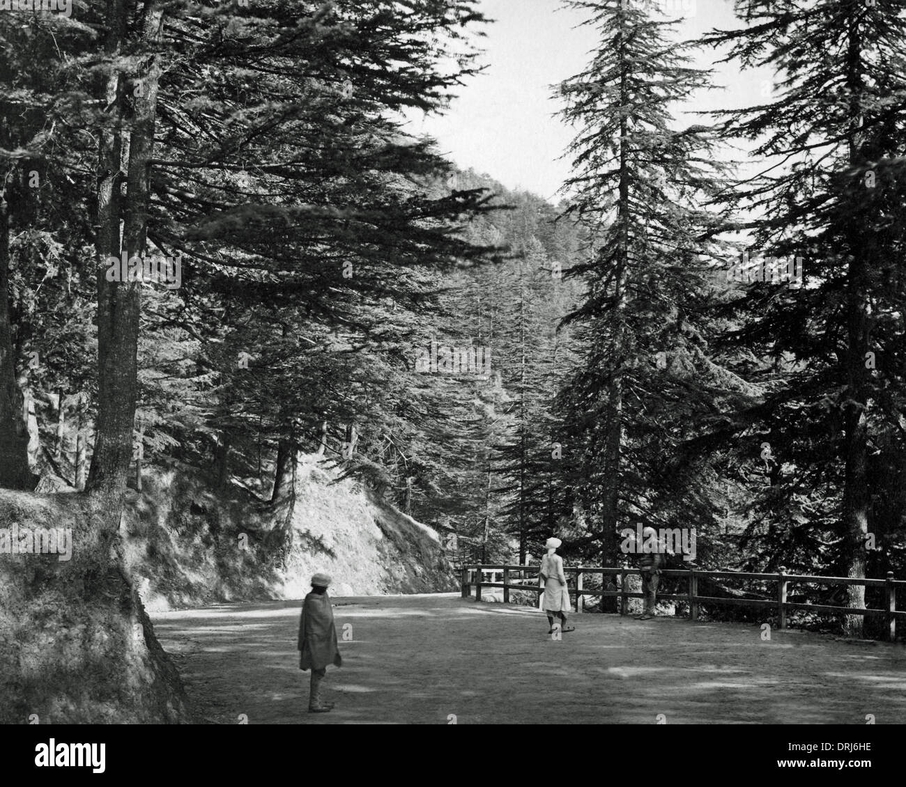 Simla india hi-res stock photography and images - Alamy