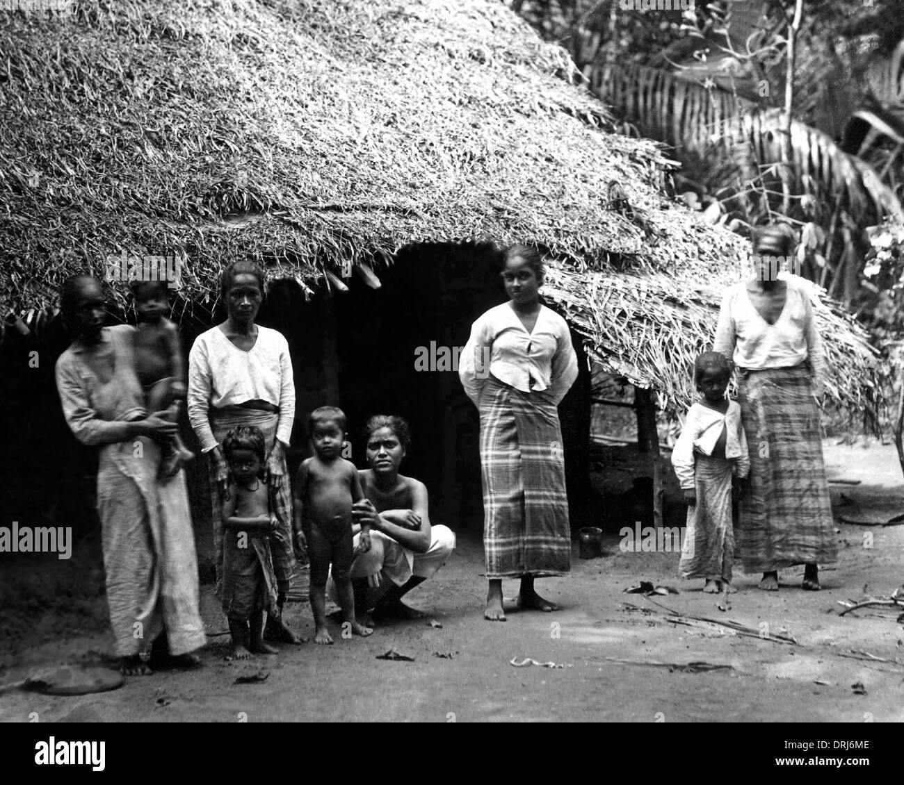 Native group, Ceylon (Sri Lanka Stock Photo - Alamy