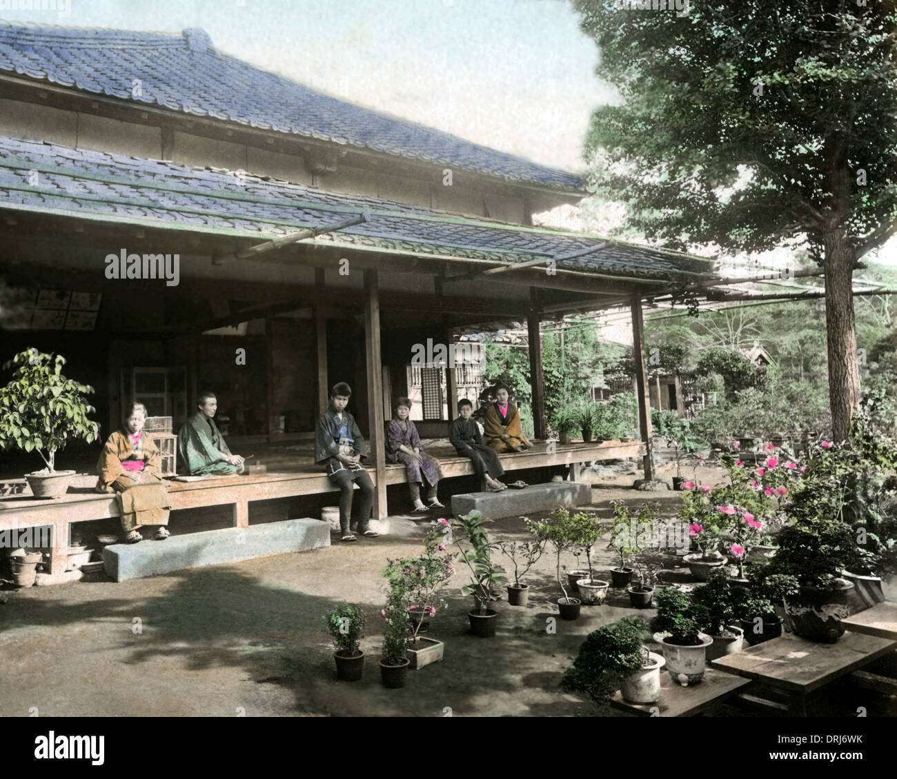Tokyo tea house hi-res stock photography and images - Alamy