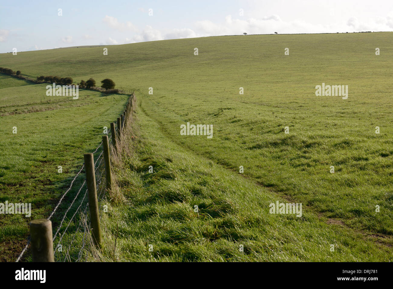 Fields and countryside at Falmer near Brighton. East Sussex. England ...