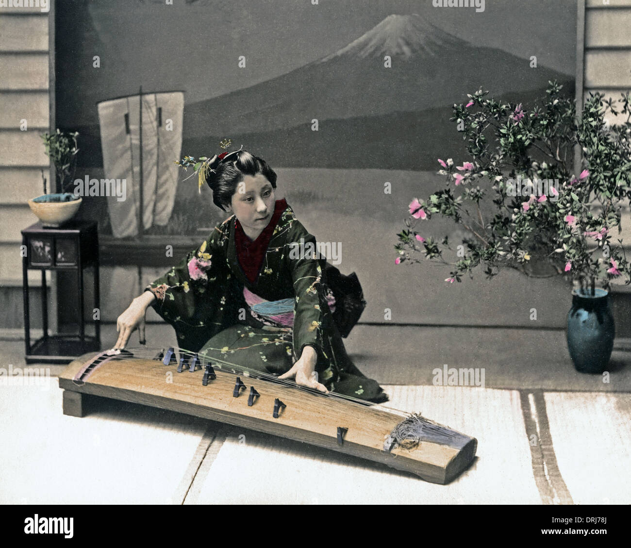 Koto instrument hi-res stock photography and images - Alamy