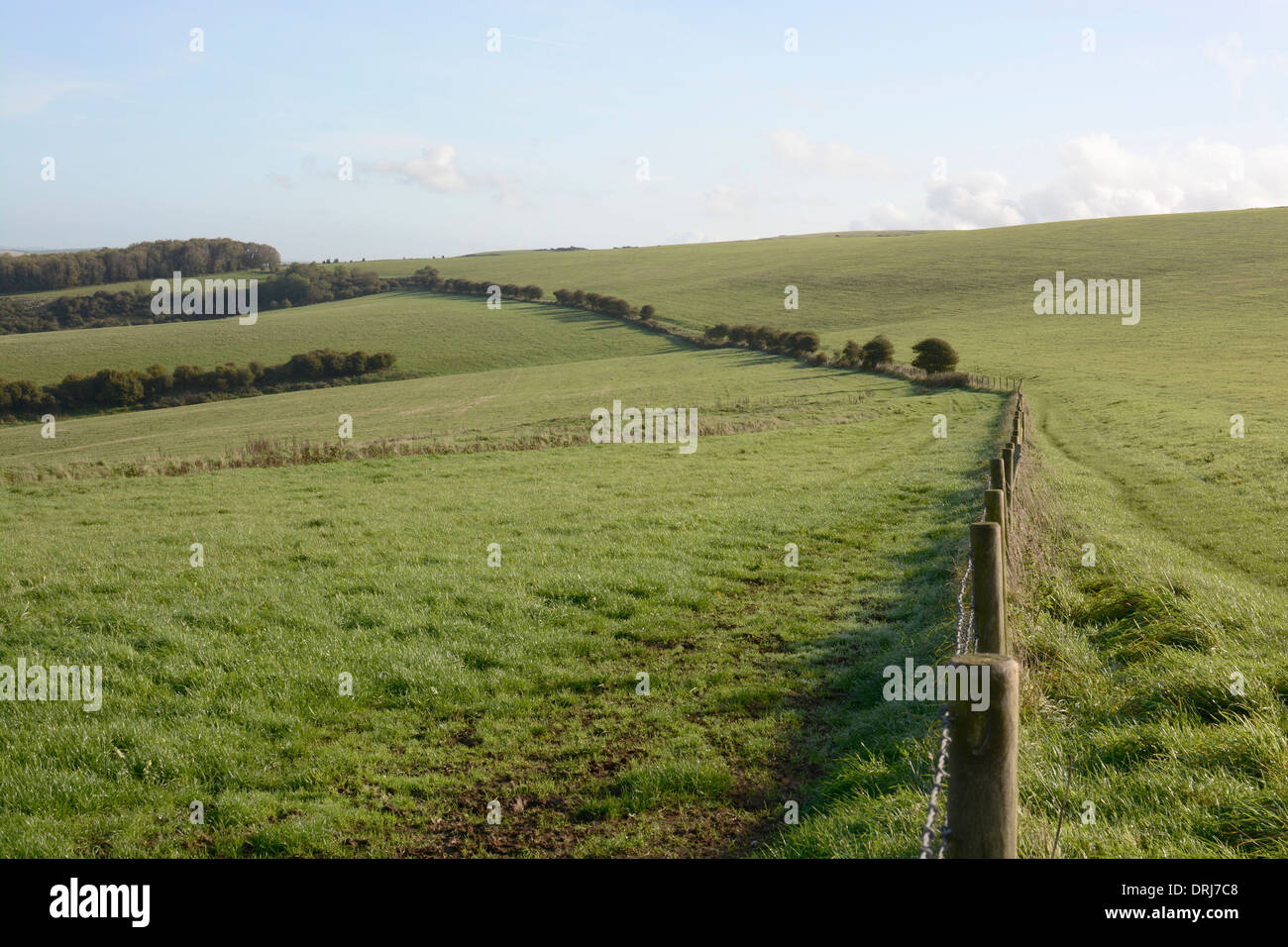 Falmer east sussex hi-res stock photography and images - Alamy