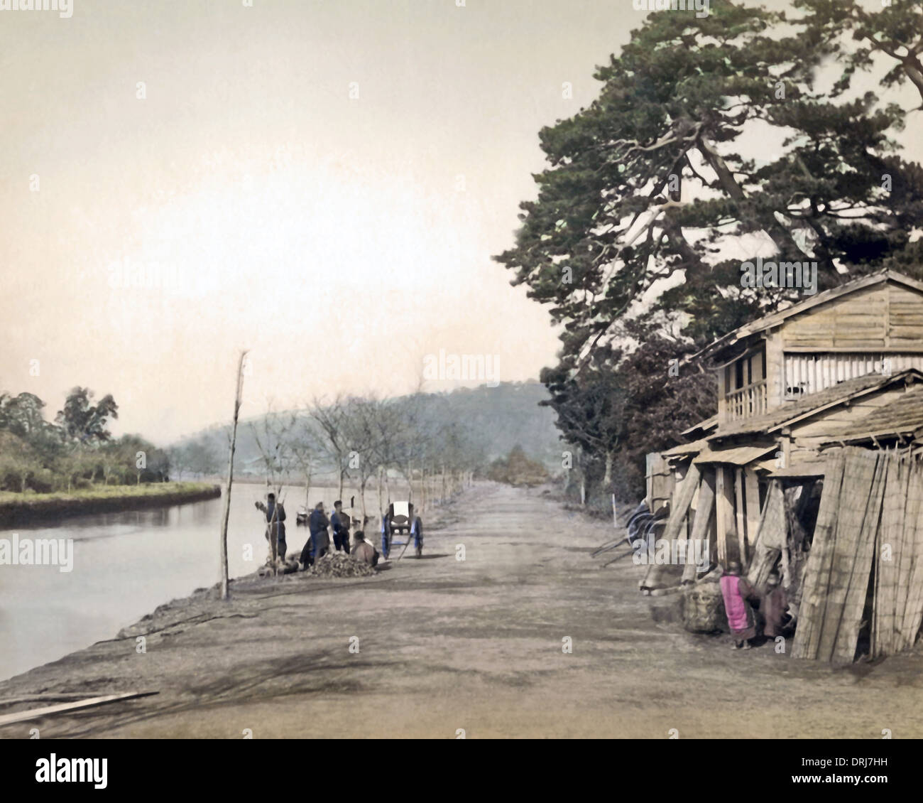 Negishi hi-res stock photography and images - Alamy