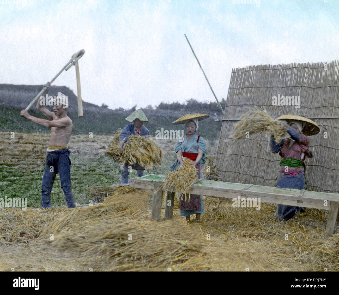 Workers threshing grain, Japan Stock Photo - Alamy