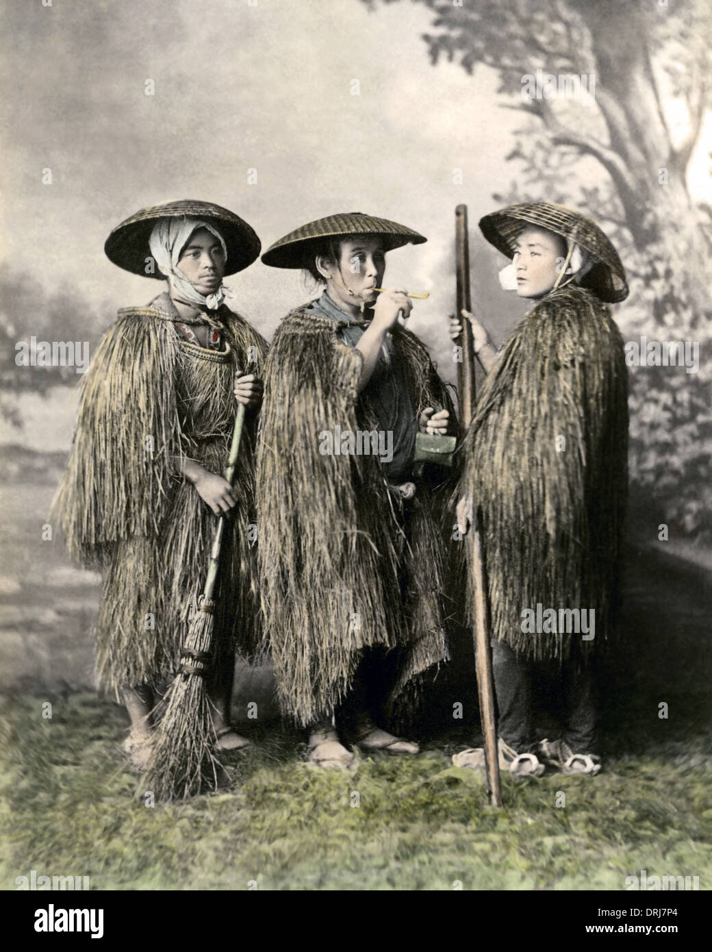 Grass types hi-res stock photography and images - Alamy