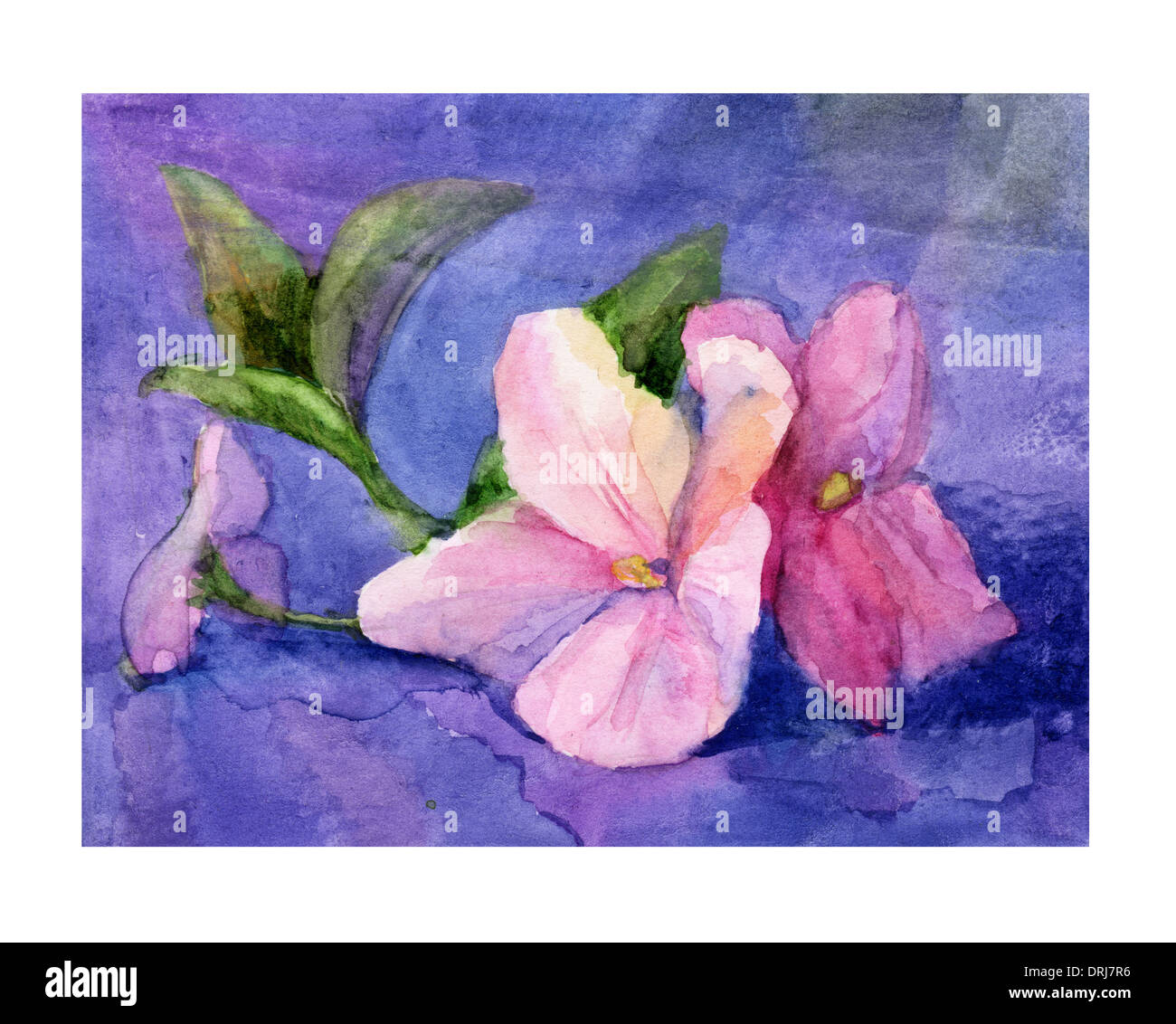 Aquarell Stock Photos & Aquarell Stock Images - Alamy