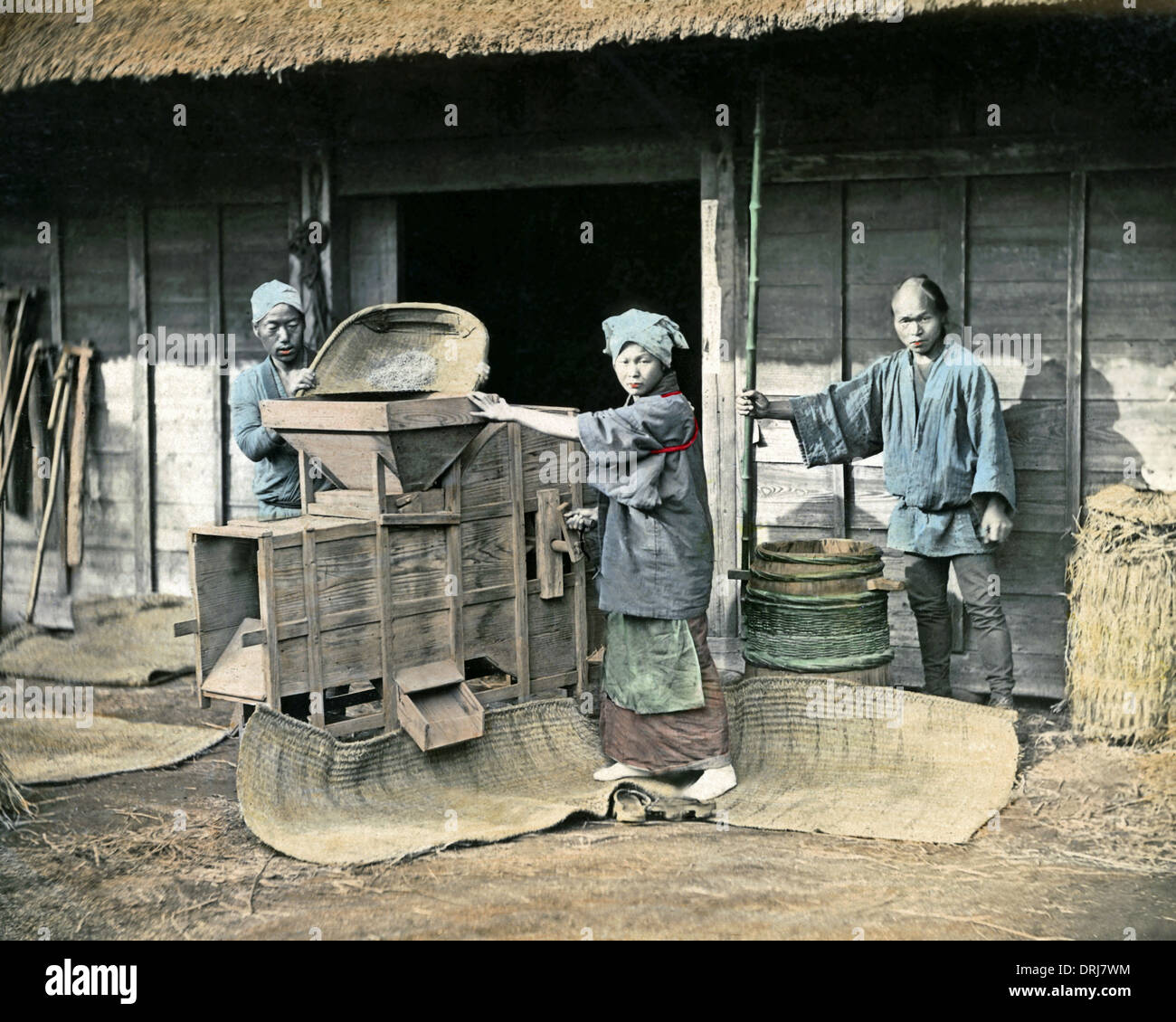 Japan rice farming hi-res stock photography and images - Alamy