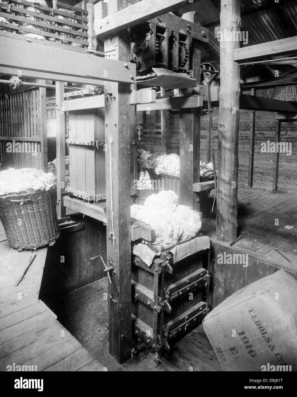 Wool industry australia Black and White Stock Photos & Images - Alamy