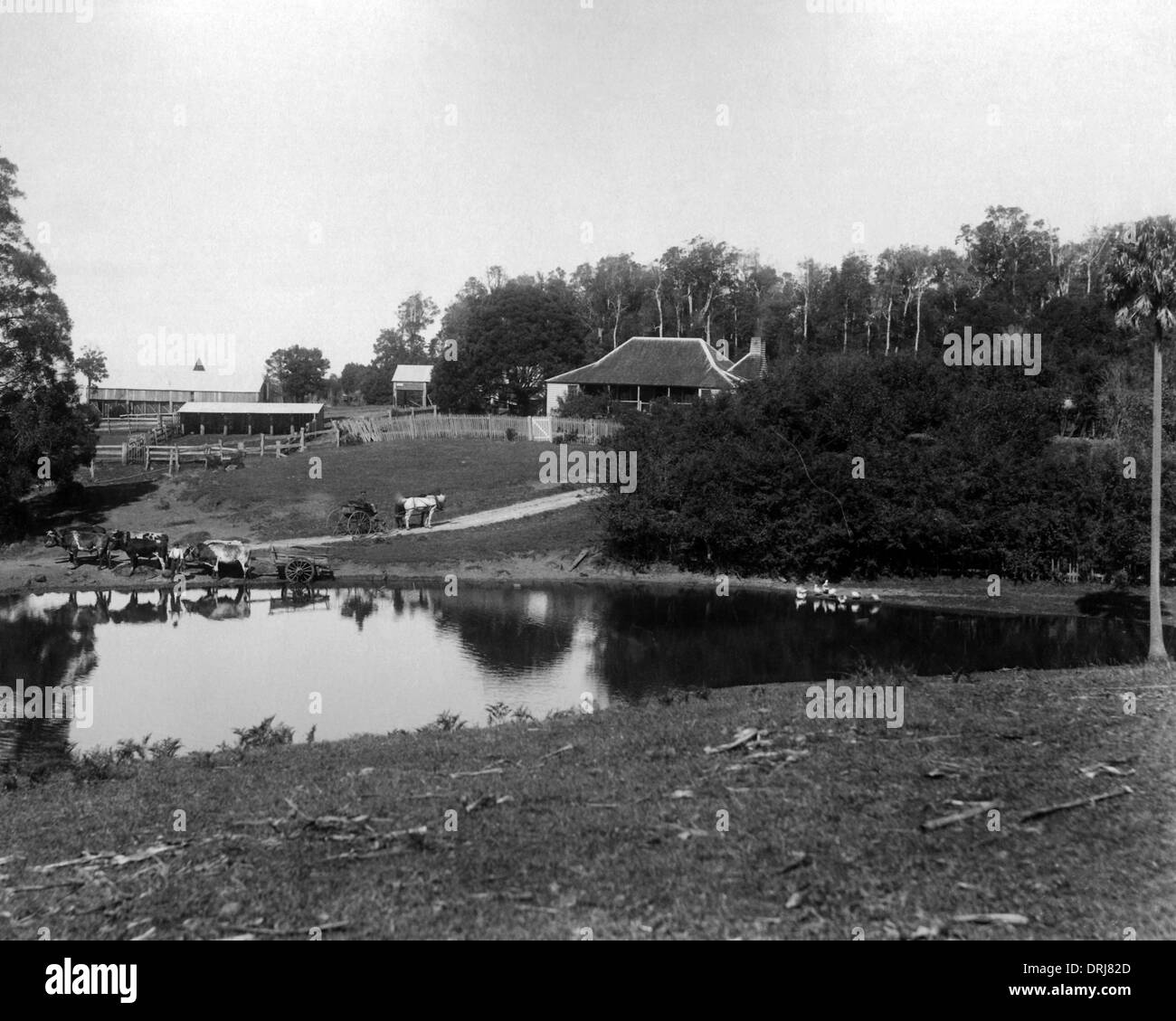 The berry farm Black and White Stock Photos & Images - Alamy