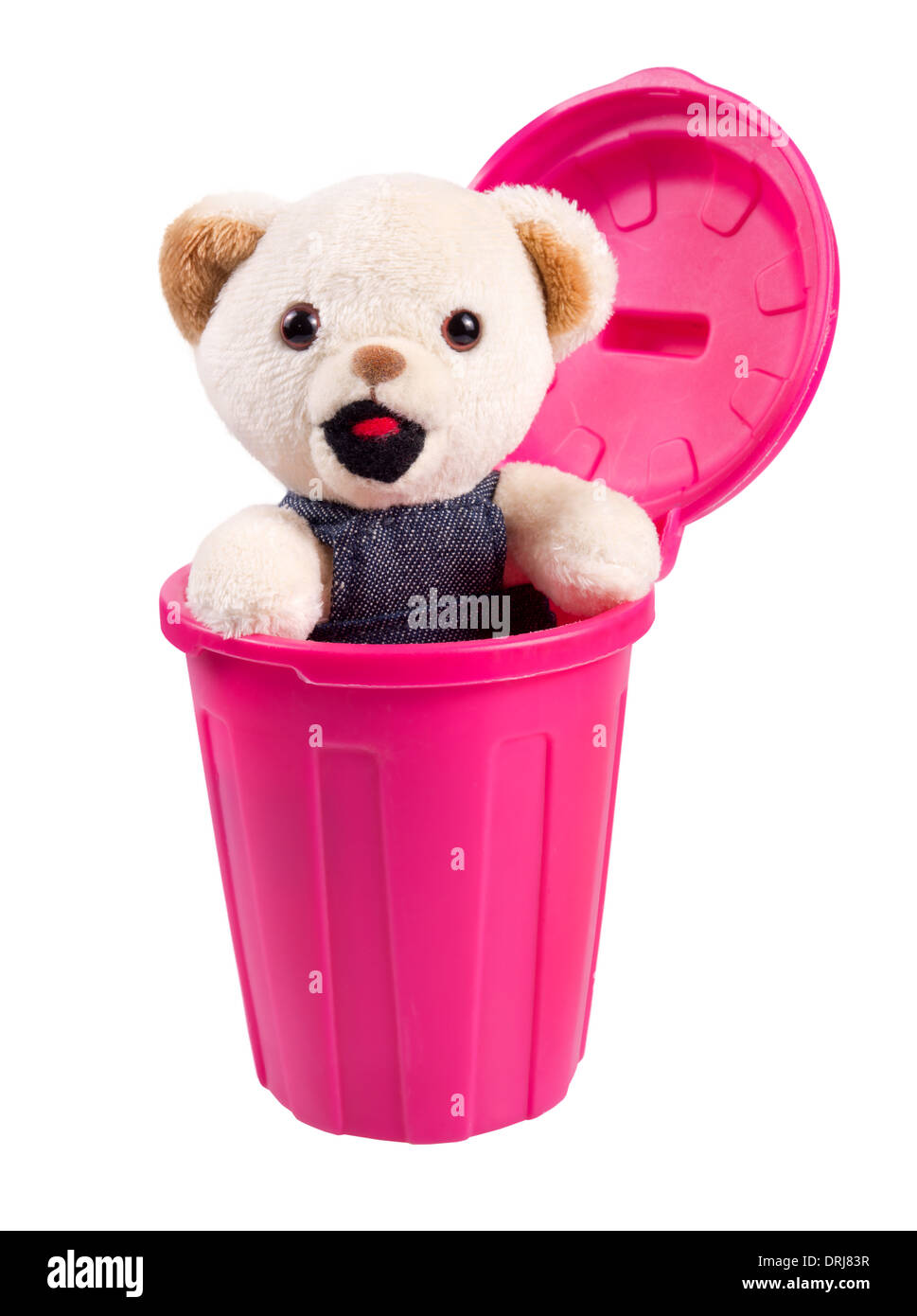 small teddy bear in a plastic container for paper Stock Photo - Alamy