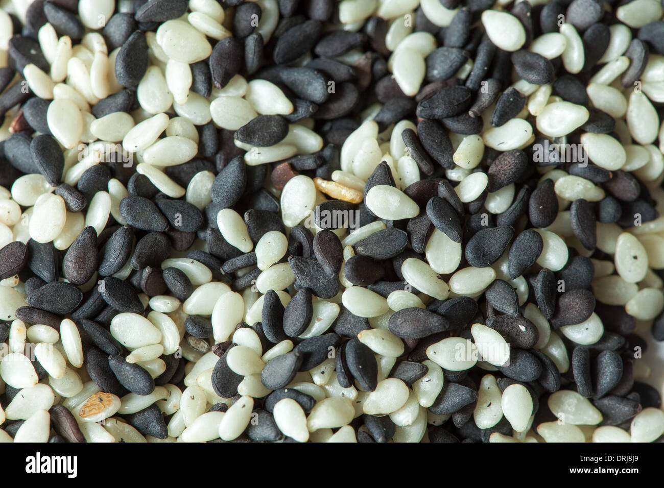 Sesame seed pods and plant hi-res stock photography and images - Alamy