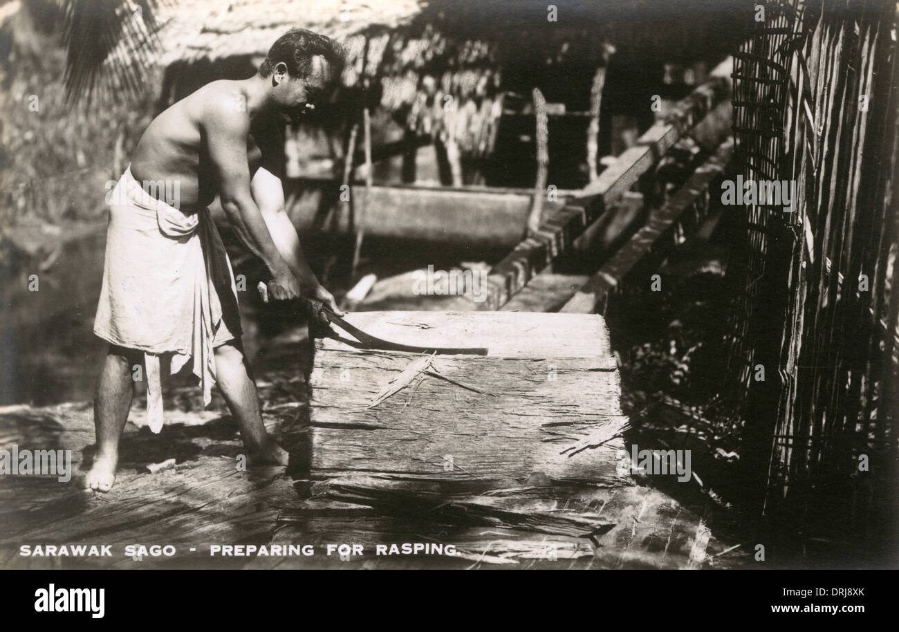 Sago Industry of Sarawak Stock Photo - Alamy