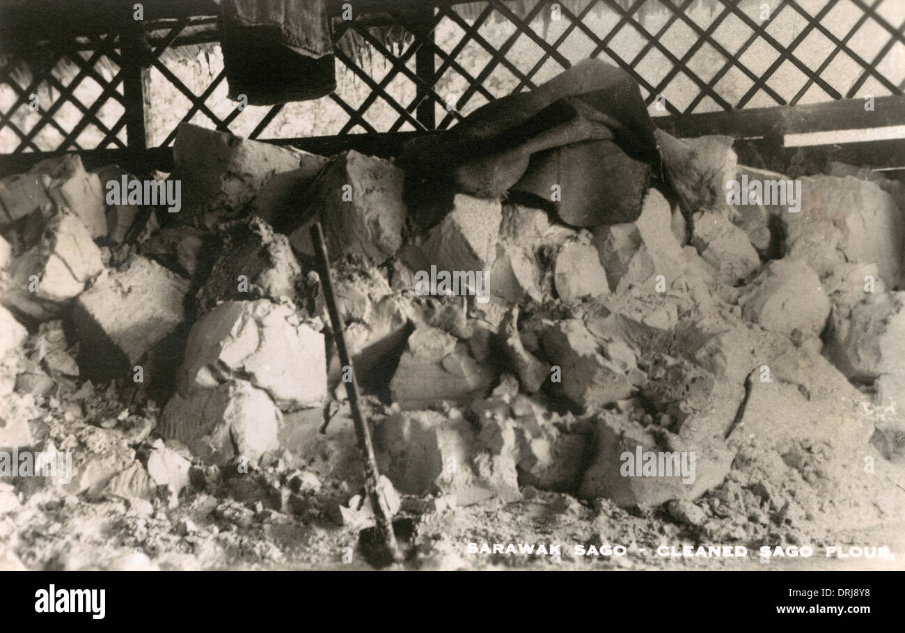 Sago Industry of Sarawak Stock Photo - Alamy