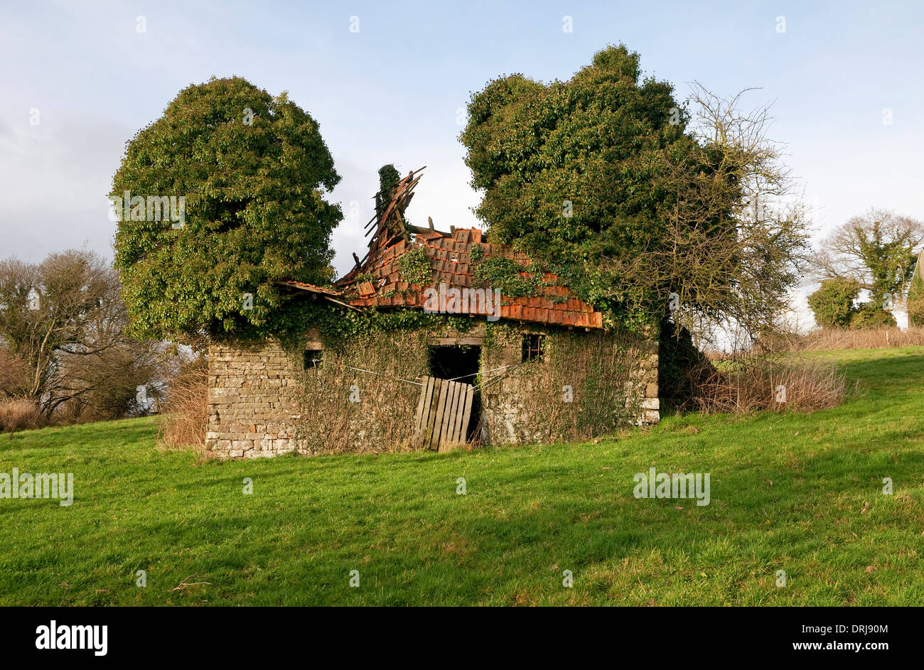 old house ruin in villedieu les poeles, normandy, france Stock Photo ...