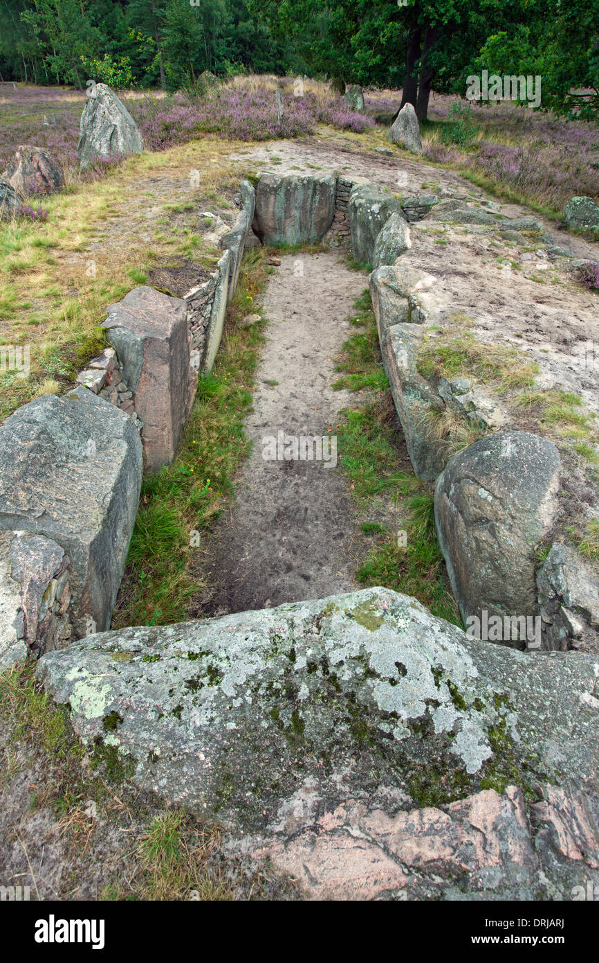 Passage grave at Oldendorfer Totenstatt, megalithic site in Oldendorf ...