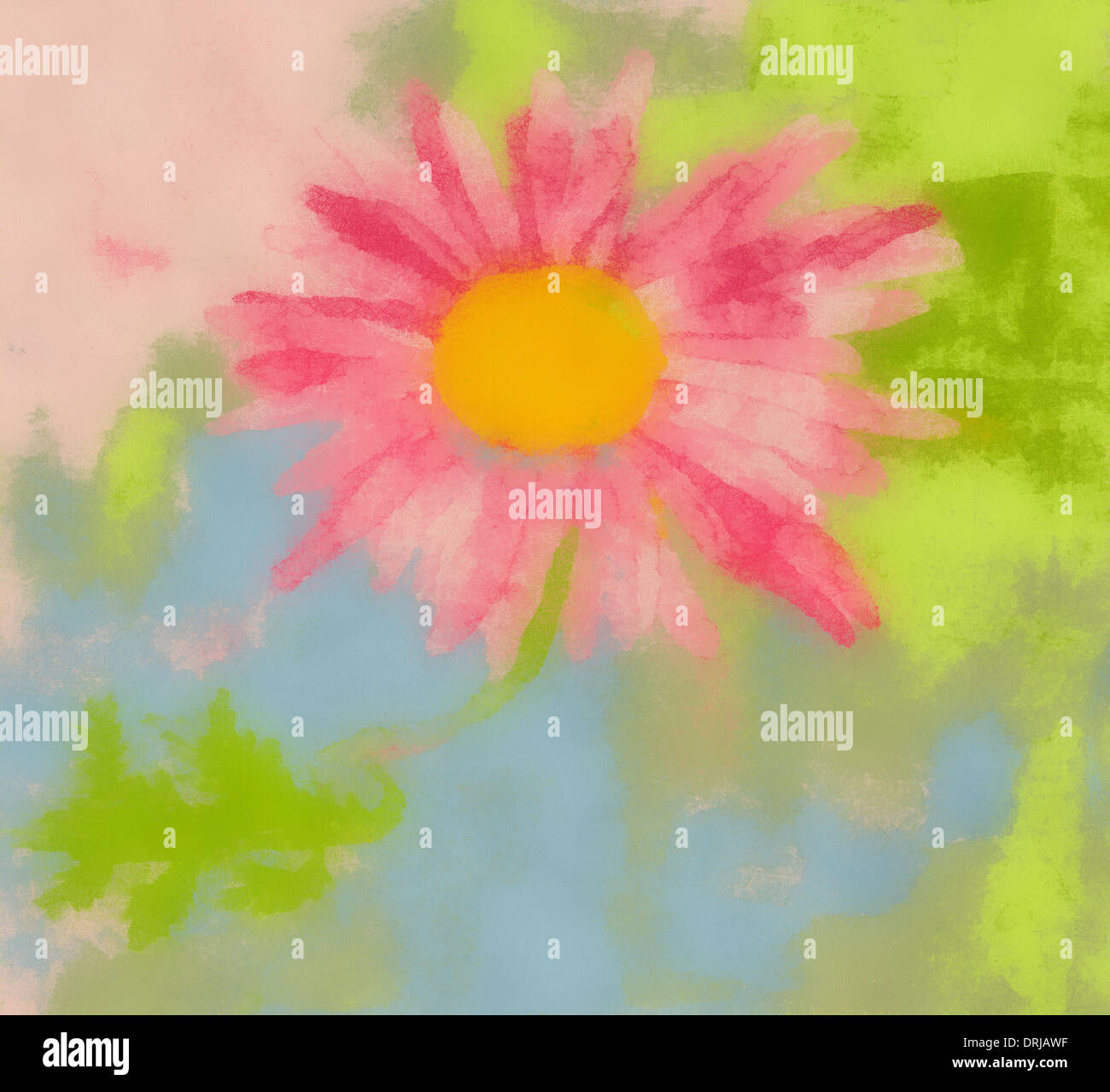 Daisy flower pictures pink hi-res stock photography and images - Alamy