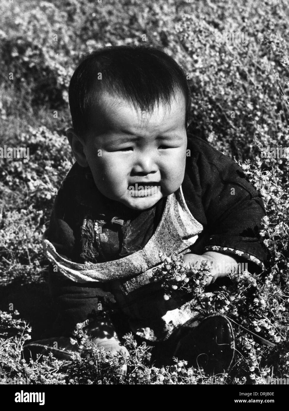 Mongolian child in the countryside, Mongolia Stock Photo - Alamy