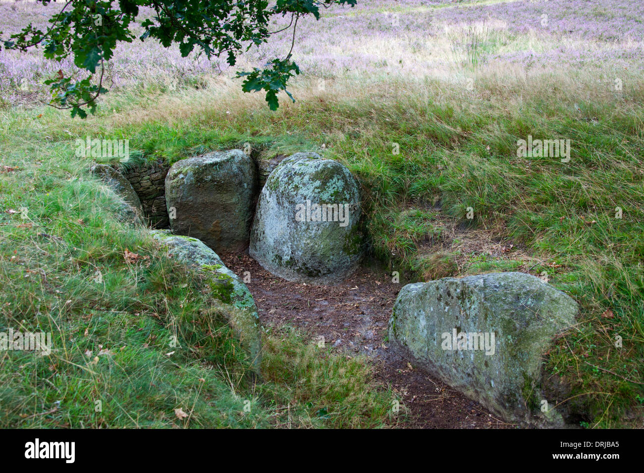 Megalith grave hi-res stock photography and images - Alamy