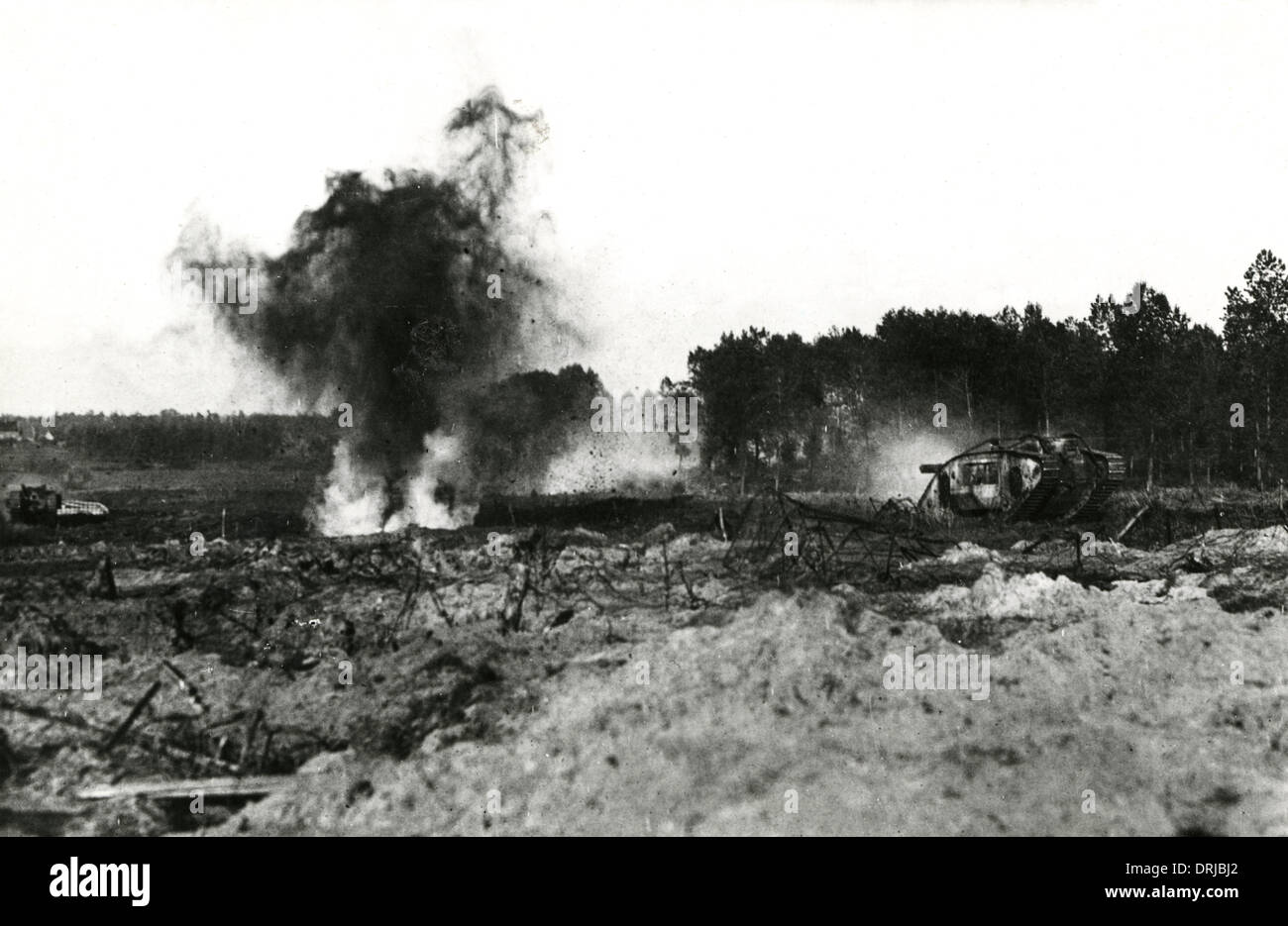 American tanks in action, western front, WW1 Stock Photo - Alamy