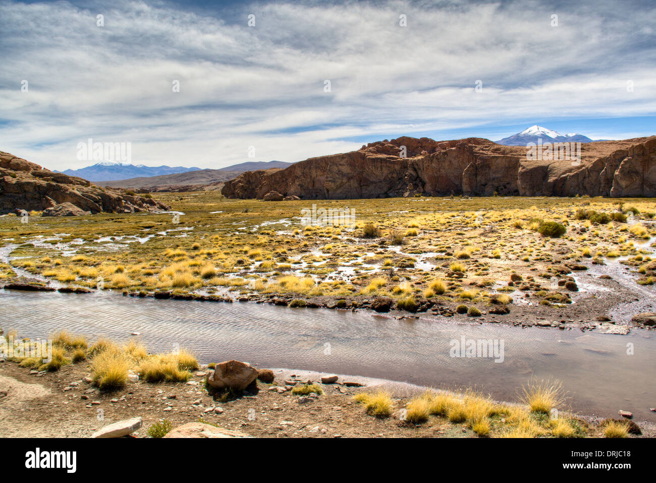Lagoon in the Andean highlands in Bolivia Stock Photo - Alamy