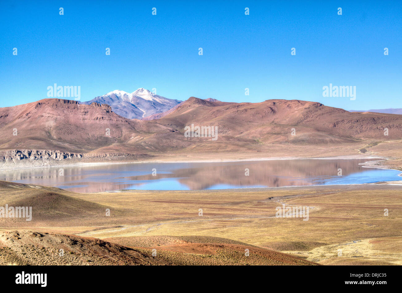 Lagoon in the Andean highlands in Bolivia Stock Photo - Alamy