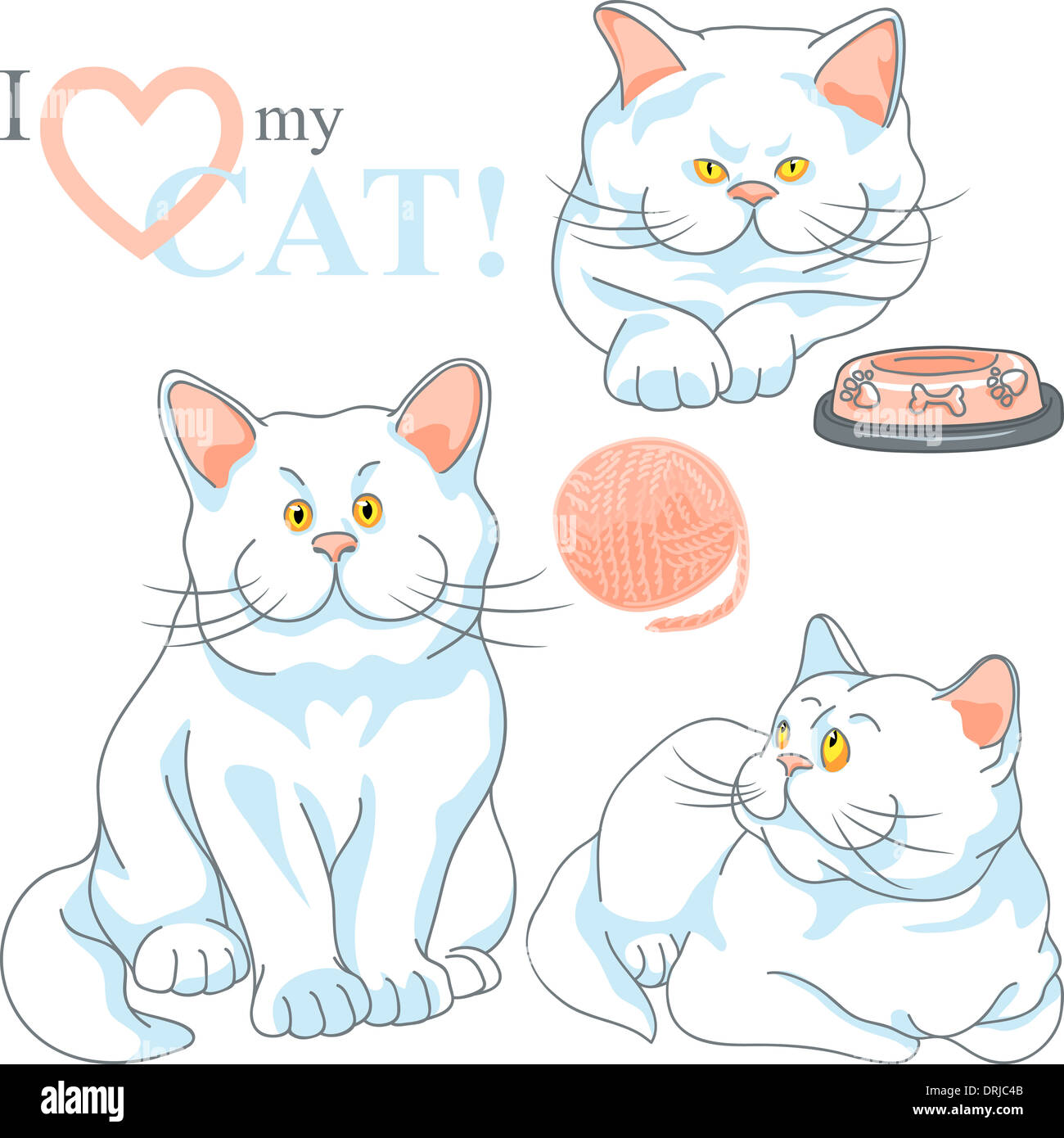 cute white cat with yellow eyes and ball of yarn and empty bowl ...