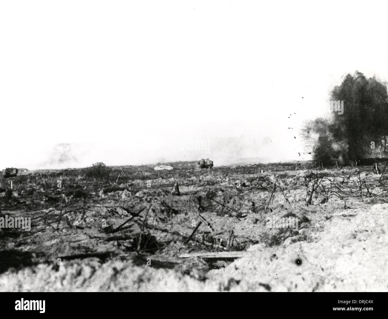 Ww1 battlefield barbed wire hi-res stock photography and images - Alamy