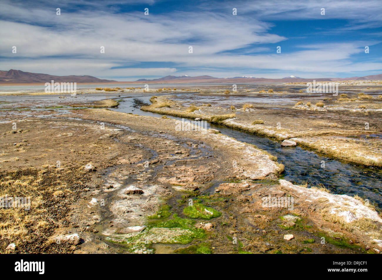 River in the Andean highlands in Bolivia Stock Photo - Alamy