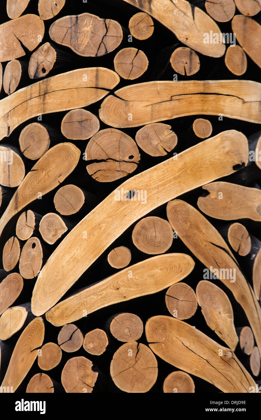 USA,Florida,Sarasota,Season of Sculpture, Lotus by Jae-Hyo Lee Stock ...