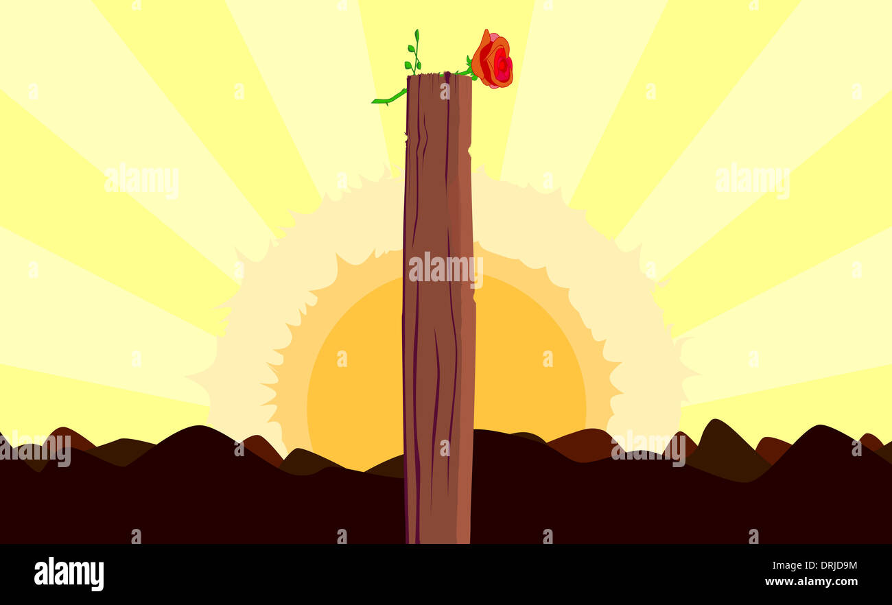 Firing squad hi-res stock photography and images - Alamy