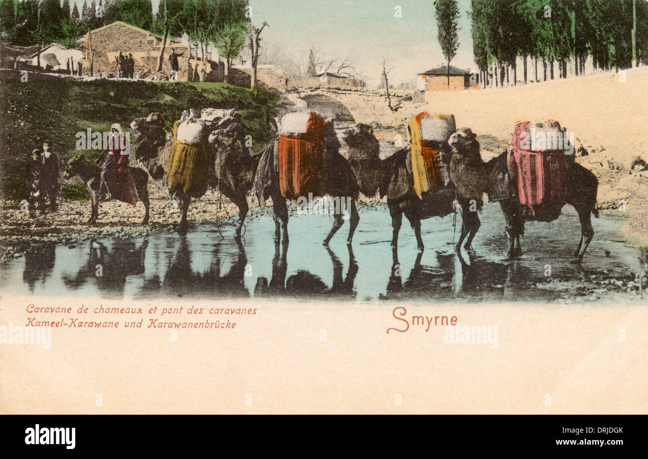 Izmir, Turkey - Camel Caravan - Kemer Bridge Stock Photo - Alamy