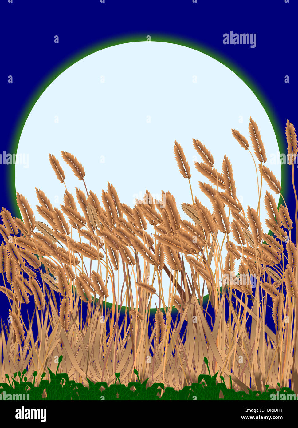 Tall grass and full moon hi-res stock photography and images - Alamy
